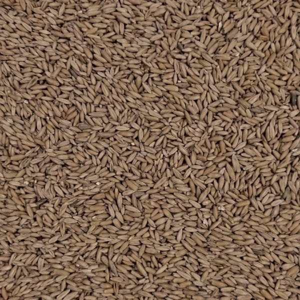 Malted Oats (Oat Malt) (Voyager) - Hoppy Days Brewing Supplies